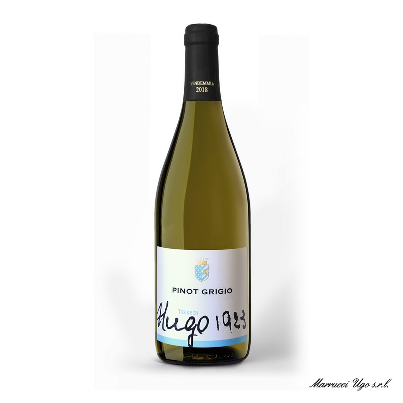 PINOT GRIGIO TERRE DI HUGO 1923 ML.750X6 - Marrucci