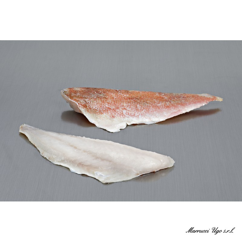 SCORFANO ATLANTICO FILETTI 180+1x5 KG - Marrucci