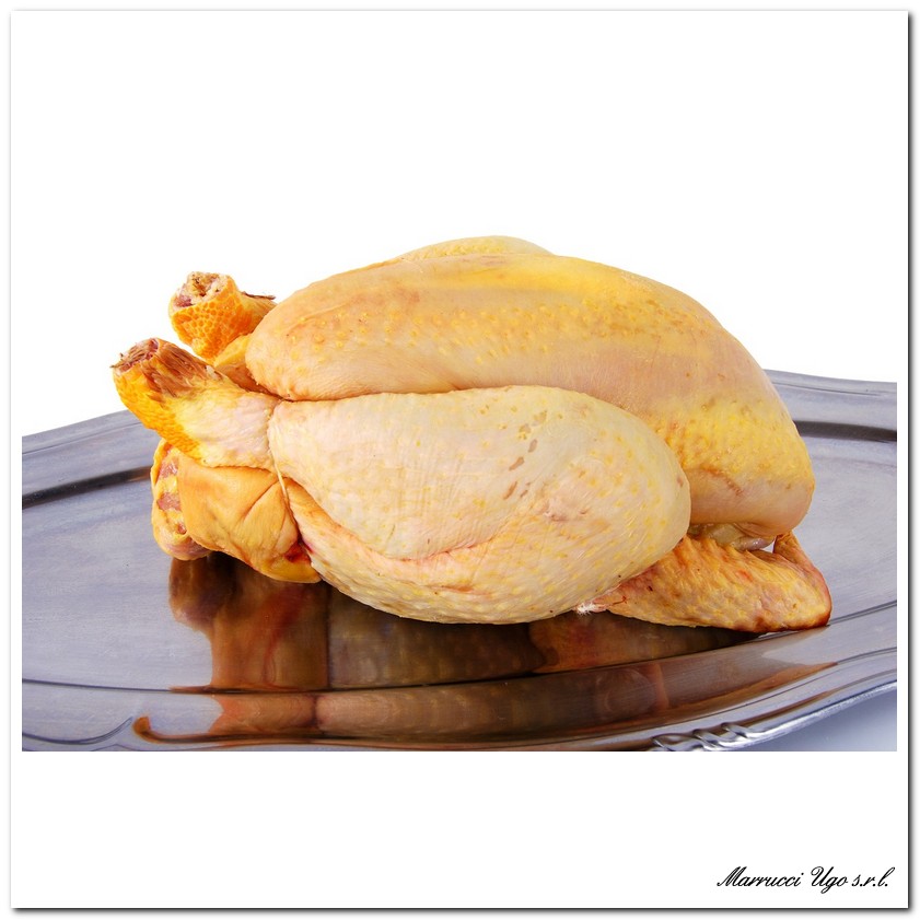 CAPPONE TRADIZIONALE x2 PZ - Marrucci